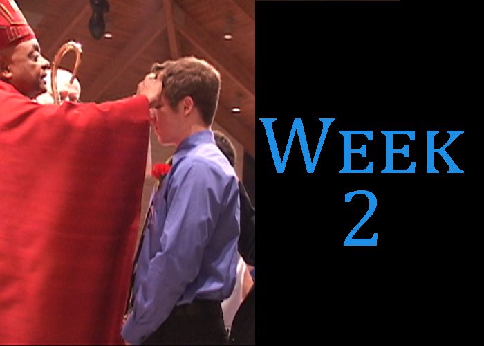 Confirmation Journal – Week 2, Period of Entrance – Transfiguration