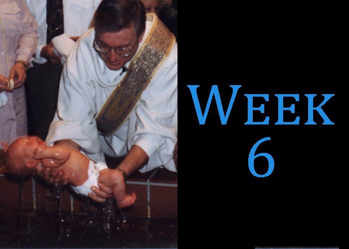 Confirmation Journal, Week 6 – Period of Reflection – Transfiguration